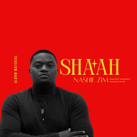 Nashie Zim - SHAAH MP3 Download & Lyrics | Boomplay