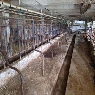 Jeff Corle Songs MP3 Download, New Songs & Albums | Boomplay