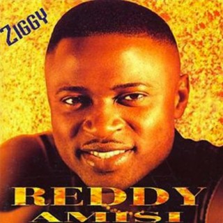 Download Reddy Amisi album songs: Ziggy | Boomplay Music