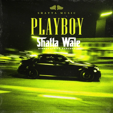 Shatta Wale - Playboy MP3 Download & Lyrics | Boomplay