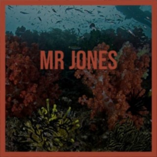 Mr Jones Album
