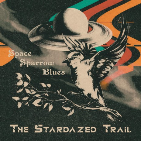 The Stardazed Trail Space Sparrow Blues Lyrics | Boomplay