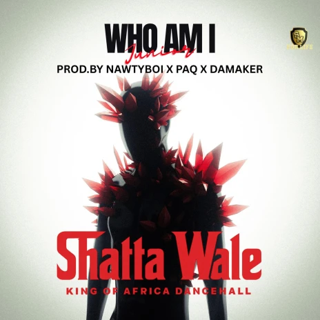 Download Shatta Wale album songs: Who Am I | Boomplay Music