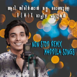 Download Saam Shameer album songs: NON STOP REMIX MAPPILA | Boomplay Music