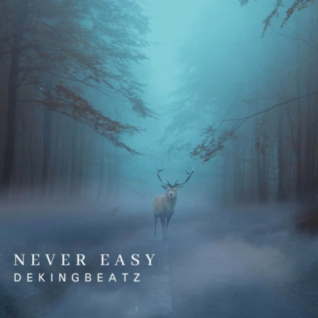 Dekingbeatz - Never Easy MP3 Download & Lyrics | Boomplay