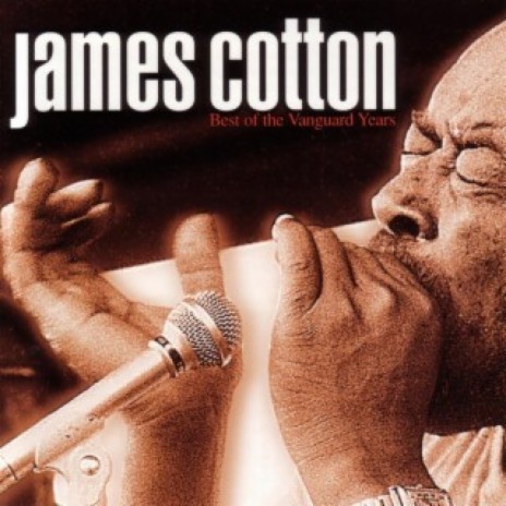 James Cotton - West Helena Blues MP3 Download & Lyrics | Boomplay
