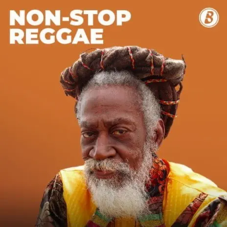 Non-Stop Reggae | Boomplay Music