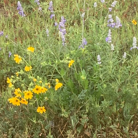 KLYK Songs MP3 Download, New Songs & Albums | Boomplay