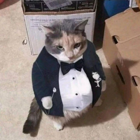 VBNM bad Songs MP3 Download, New Songs & Albums | Boomplay