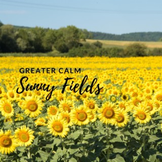 Download Greater Calm album songs: Sunny Fields | Boomplay Music
