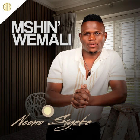 Mshinwemali - Ncono Siyeke (feat. Shenge wasehlalankosi) MP3 Download & Lyrics | Boomplay