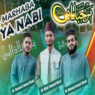 Tauseef Logo