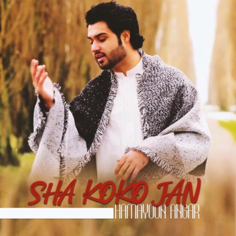 Hamayoun Angar - Laila Dalbar MP3 Download & Lyrics | Boomplay