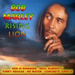 Download Bob Marley album songs: Rising Lion | Boomplay Music