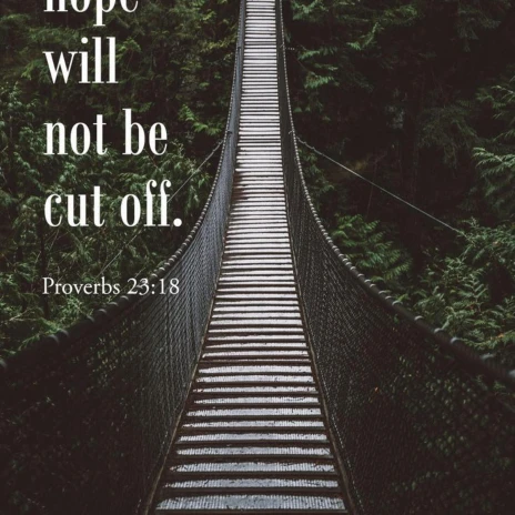 FIMi - Paradise MP3 Download & Lyrics | Boomplay