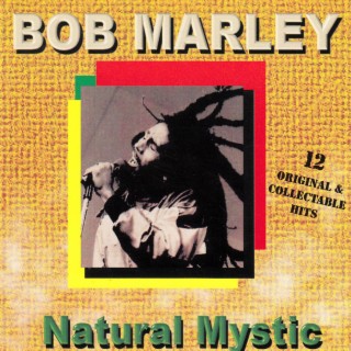 Download Bob Marley album songs: Natural Mystic | Boomplay Music