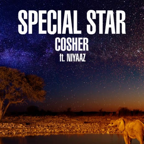 Cosher - Special Star MP3 Download & Lyrics | Boomplay