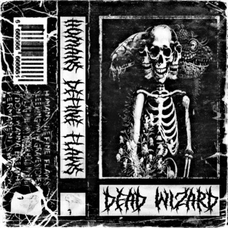 Wizard Castle Outro - DEAD WIZARD MP3 download | Wizard Castle Outro ...