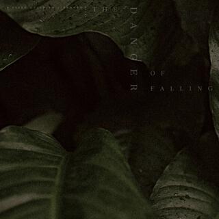 Download The Danger of Falling album songs: A Field Guide To A Broken ...