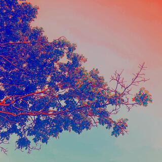 Download The Fishmonger album songs: 22 | Boomplay Music