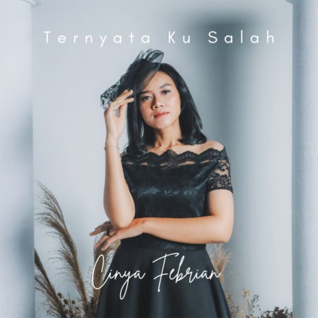 Cinya Febrian Ternyata Ku Salah Lyrics | Boomplay