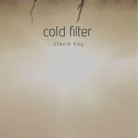 Stevie Kay - FOG HORN BLUES MP3 Download & Lyrics | Boomplay