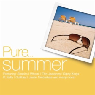 Download Various Artists album songs: Pure... Summer | Boomplay Music
