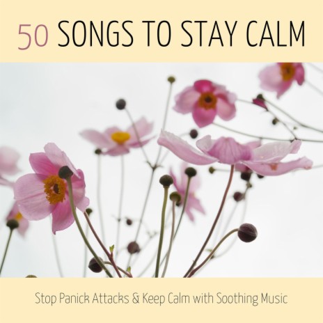 The Calm Service - Voice of Calm MP3 Download & Lyrics | Boomplay