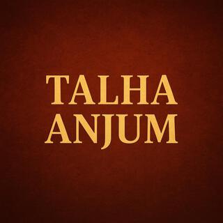 Download Late Night Vibe Zone album songs: Talha Anjum | Boomplay Music