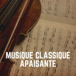 Musique Classique Concerts / Musique Classique Orchestre Belgique