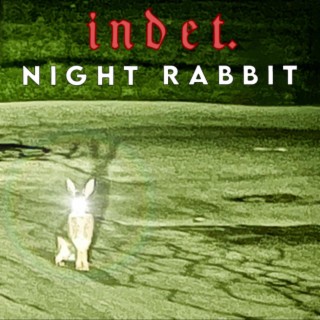 Indet. Night Rabbit Lyrics | Boomplay
