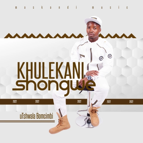 Mshinwemali - Ncono Siyeke (feat. Shenge wasehlalankosi) MP3 Download & Lyrics | Boomplay