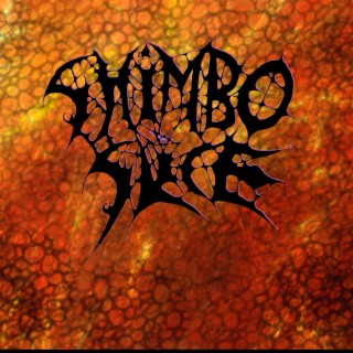 Shimbo Slice Songs MP3 Download, New Songs & Albums | Boomplay