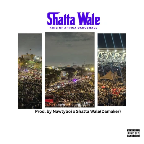 Download Shatta Wale album songs: Shattafest | Boomplay Music