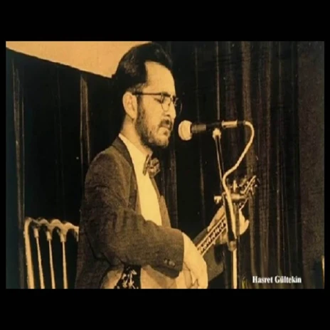 Hasret Gültekin Türküler Songs MP3 Download, New Songs & Albums | Boomplay