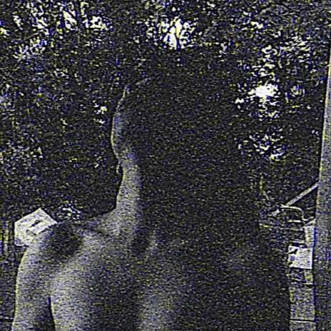 Lake Josie Shell Shock Lyrics | Boomplay