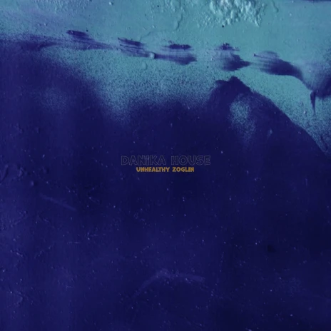 unhealthy zoglin - Danika House MP3 Download & Lyrics | Boomplay