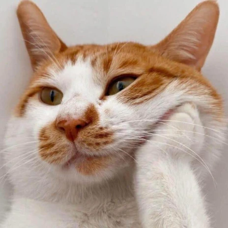 H.D 千万别让爱破碎是 Lyrics | Boomplay