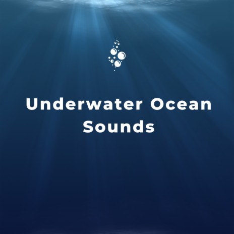 Underwater World - Relaxing Deep Underwater Sound MP3 Download & Lyrics ...
