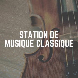 Musique Classique Concerts / Musique Classique Orchestre Belgique