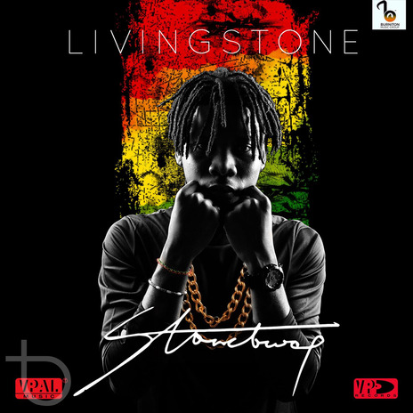Stonebwoy - Go Higher MP3 Download & Lyrics | Boomplay