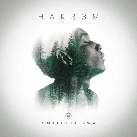 Hak33m Omalicha Nwa Lyrics | Boomplay