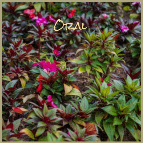 Invisible Towns - Mster Tedo MP3 download | Invisible Towns - Mster ...