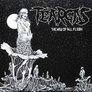 Download Teargas album songs: The Way Of All Flesh | Boomplay Music
