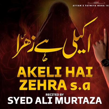 SRS Production - Akeli Hai Zehra s.a | Syed Ali Murtaza | Ayyam e ...