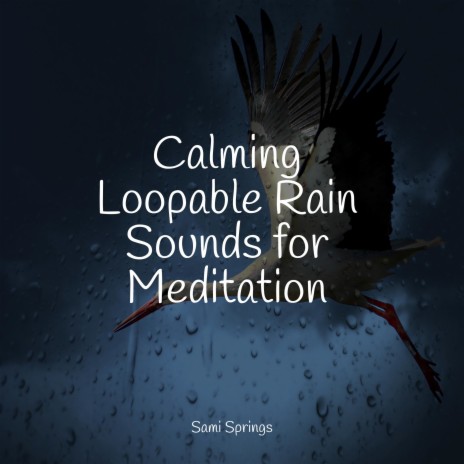 calming rainforest sounds - Beach, Ocean, Waves MP3 Download & Lyrics ...