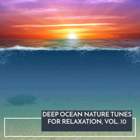 Mr. Austin Nature Hub - Ocean Salty Water MP3 Download & Lyrics | Boomplay