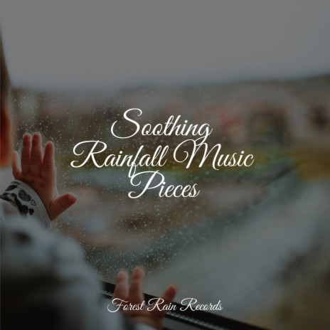 ASMR Sleep Sounds Rain Drop Splash Lyrics | Boomplay