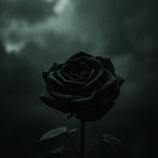 Download void album songs: Call Me | Boomplay Music