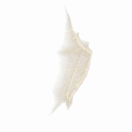 BROtHER EVANS tItANS Lyrics | Boomplay